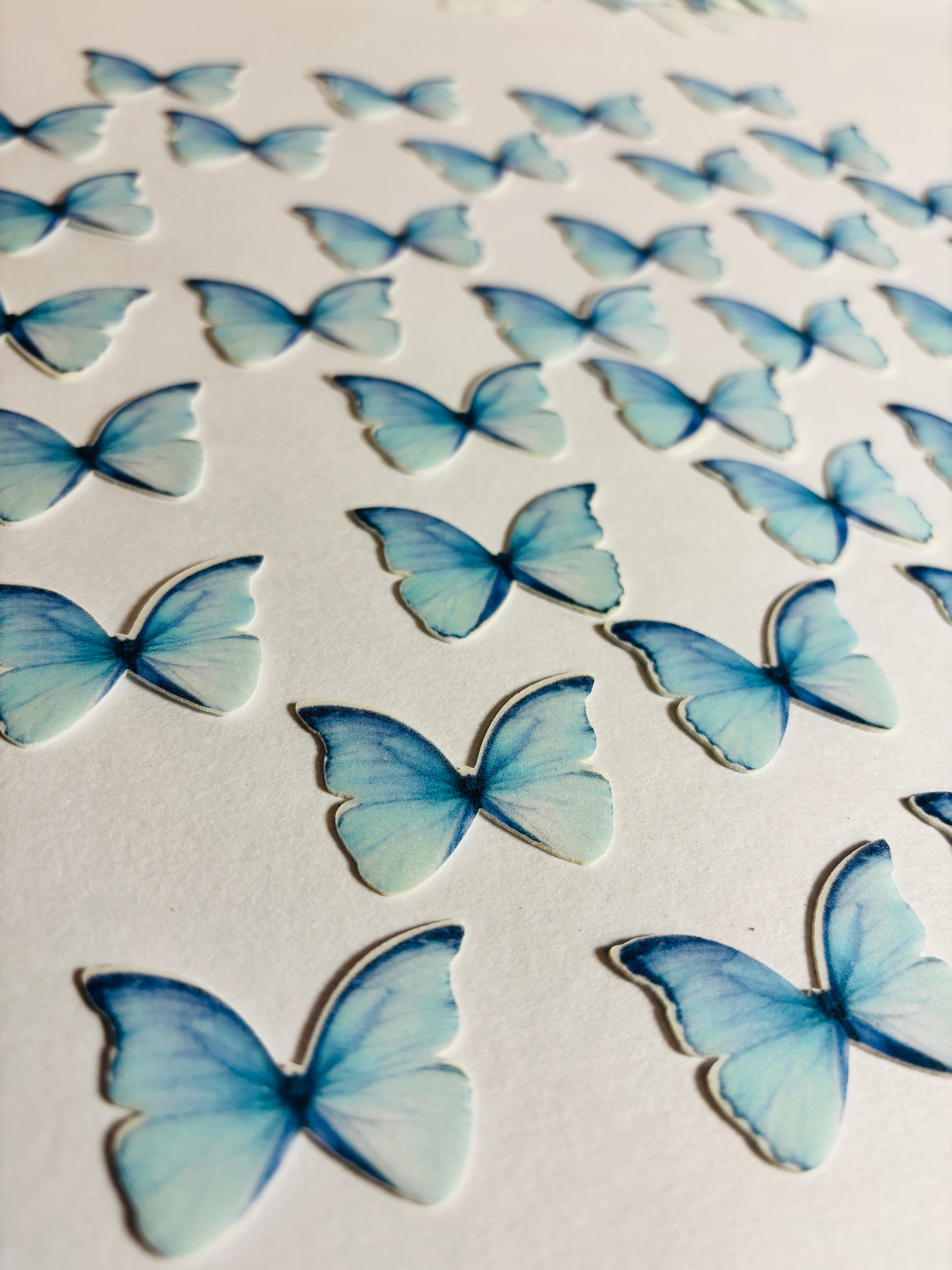 Sky Blue | Pack of 56 Edible Wafer Paper Butterflies – Confect