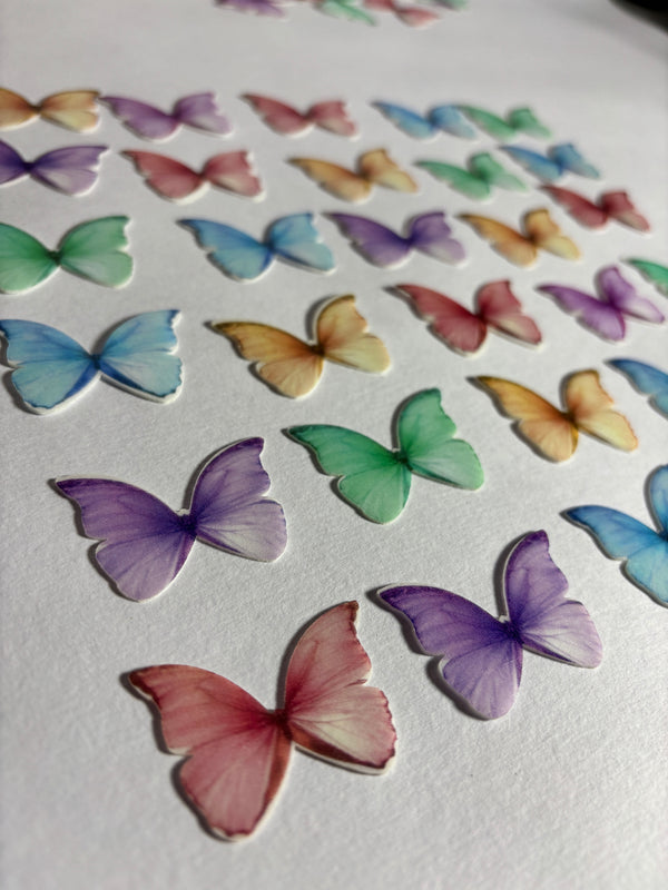 Collections – Confect